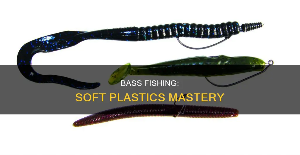 Bass Fishing: Soft Plastics Mastery | ShunPoly
