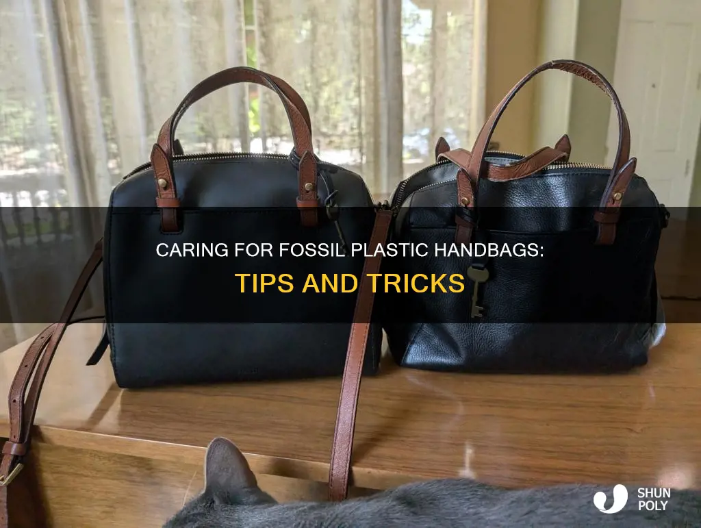 Caring For Fossil Plastic Handbags: Tips And Tricks | ShunPoly