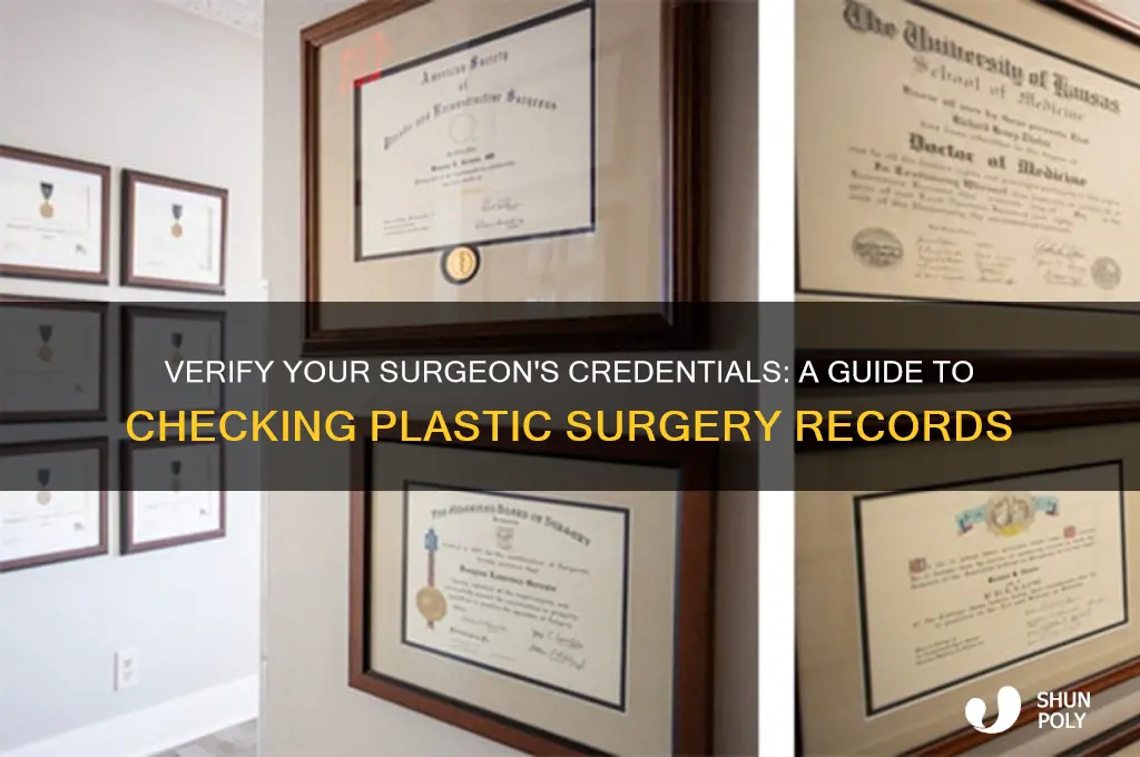 Verify Your Surgeon's Credentials: A Guide To Checking Plastic Surgery ...