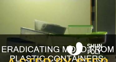 Eradicating Mold From Plastic Containers: A Step-By-Step Guide | ShunPoly