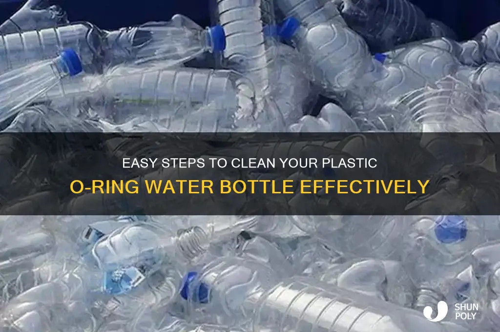 Easy Steps To Clean Your Plastic O-Ring Water Bottle Effectively | ShunPoly