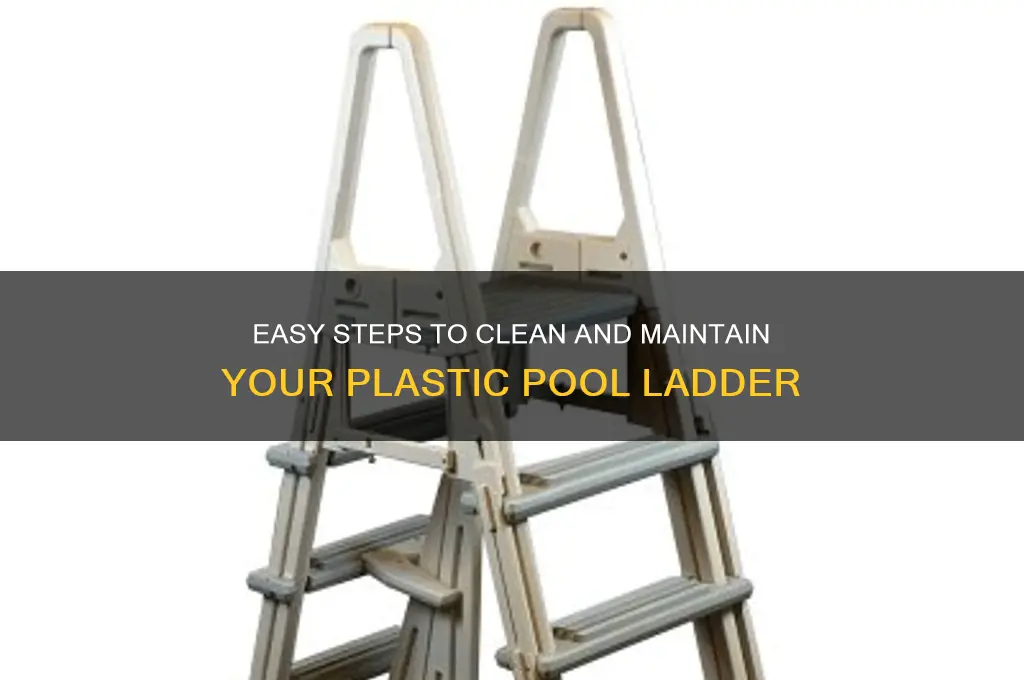 Easy Steps To Clean And Maintain Your Plastic Pool Ladder | ShunPoly