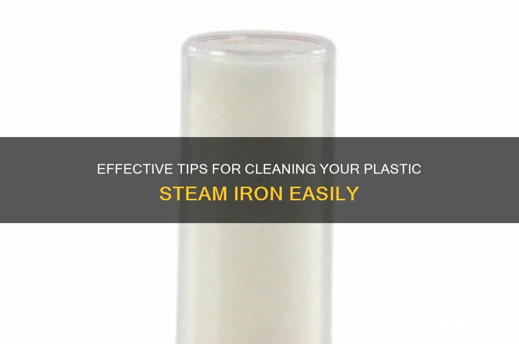 Effective Tips For Cleaning Your Plastic Steam Iron Easily | ShunPoly
