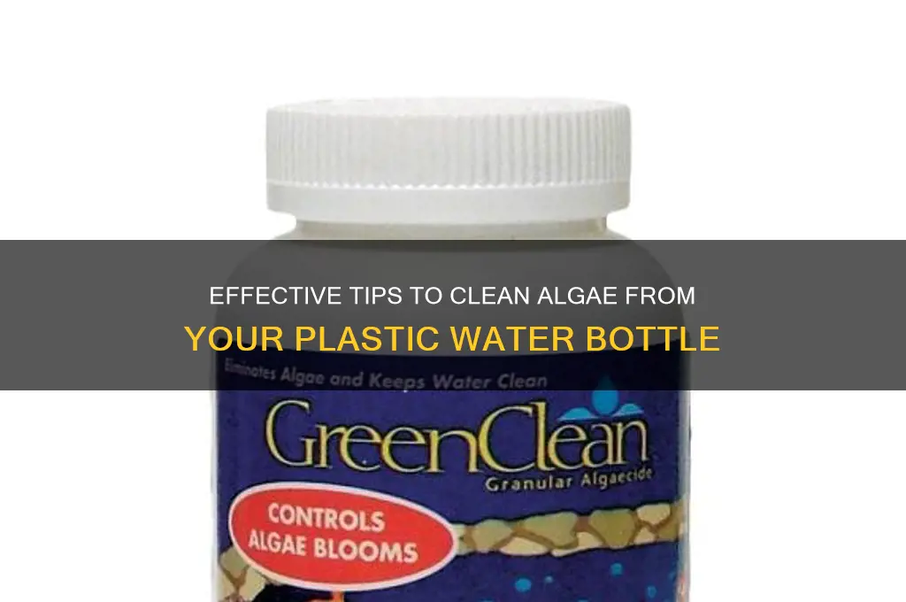 Effective Tips To Clean Algae From Your Plastic Water Bottle | ShunPoly