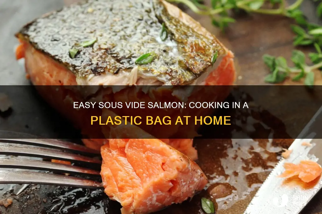 Easy Sous Vide Salmon: Cooking In A Plastic Bag At Home | ShunPoly