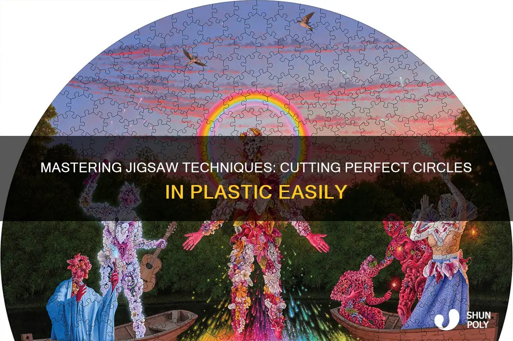 Mastering Jigsaw Techniques: Cutting Perfect Circles In Plastic Easily ...