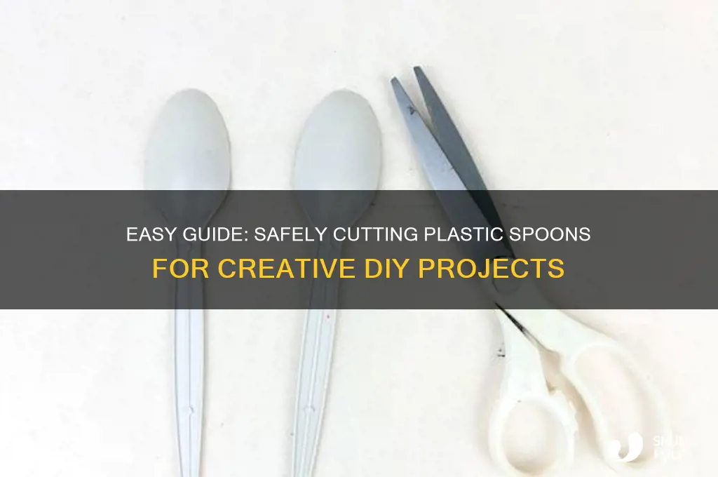 Easy Guide: Safely Cutting Plastic Spoons For Creative Diy Projects ...