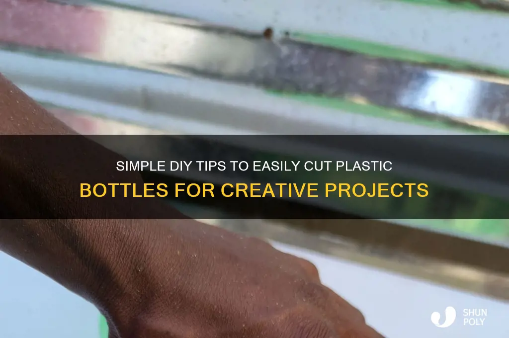 Simple Diy Tips To Easily Cut Plastic Bottles For Creative Projects ...