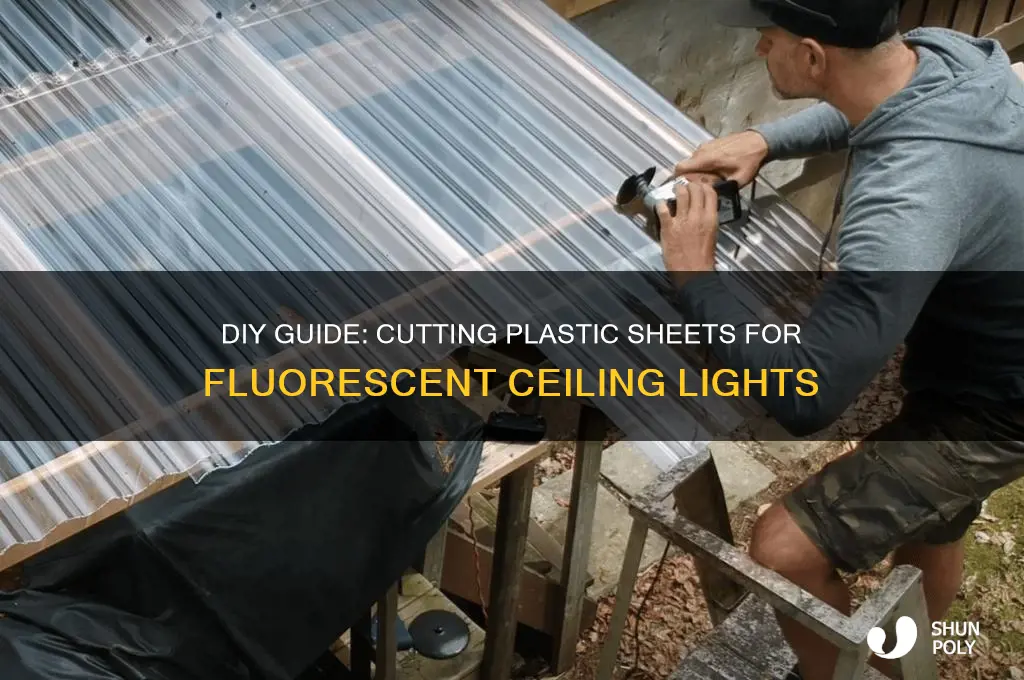Diy Guide: Cutting Plastic Sheets For Fluorescent Ceiling Lights | ShunPoly