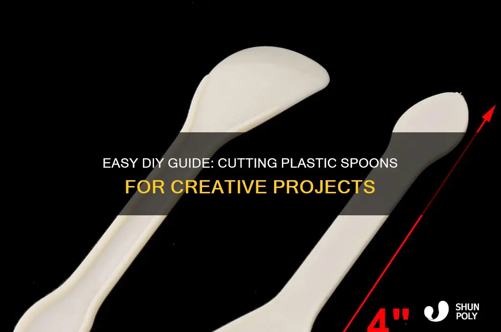 Easy Diy Guide: Cutting Plastic Spoons For Creative Projects | ShunPoly