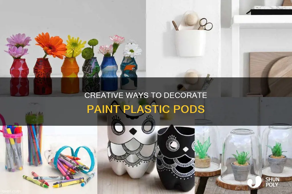 Creative Ways To Decorate Paint Plastic Pods | ShunPoly