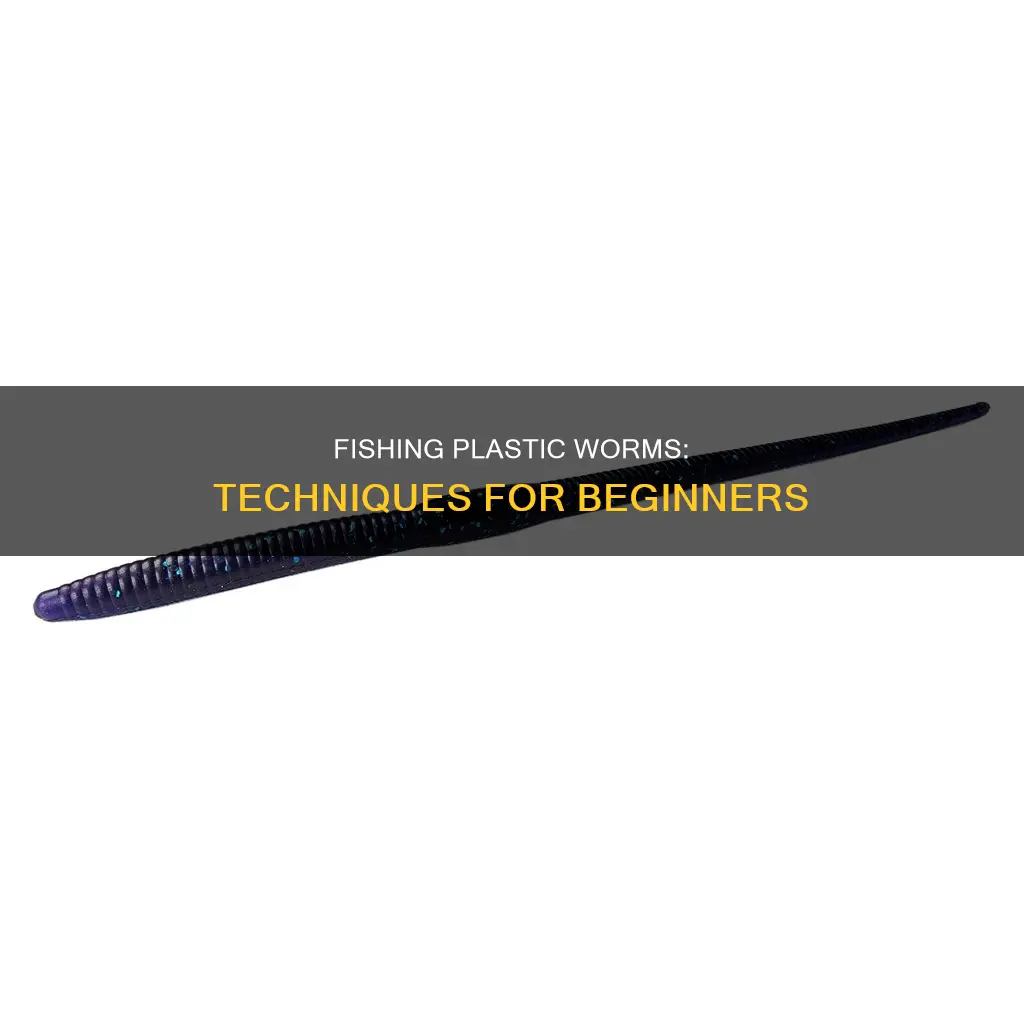 Fishing Plastic Worms: Techniques For Beginners | ShunPoly