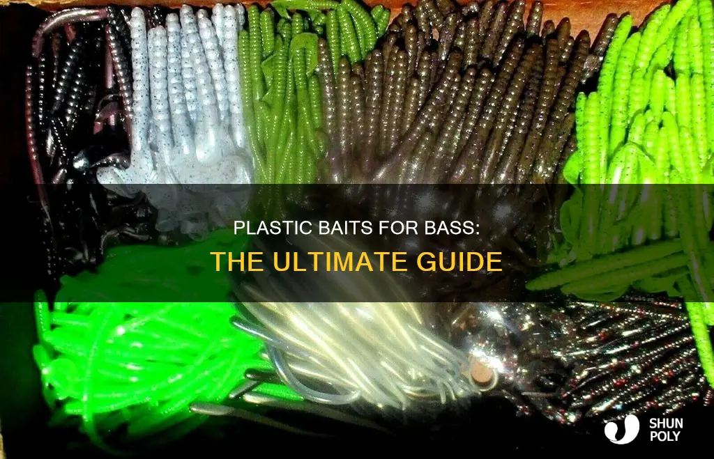 Plastic Baits For Bass: The Ultimate Guide | ShunPoly