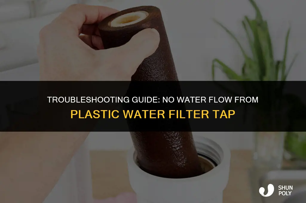 Troubleshooting Guide: No Water Flow From Plastic Water Filter Tap ...