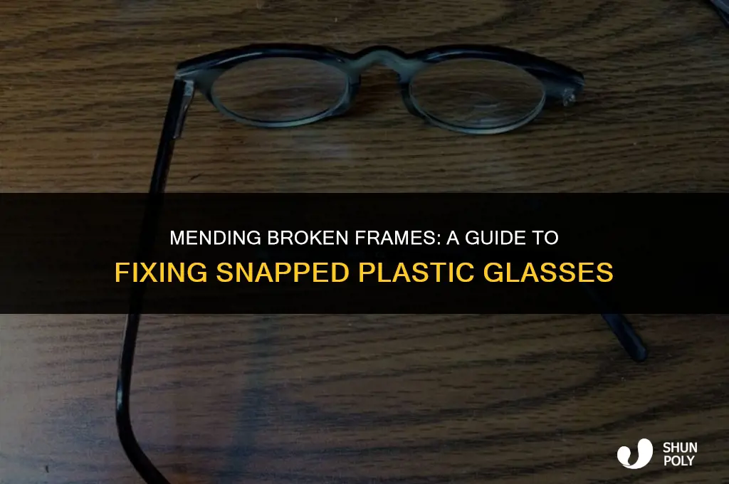 Mending Broken Frames: A Guide To Fixing Snapped Plastic Glasses | ShunPoly