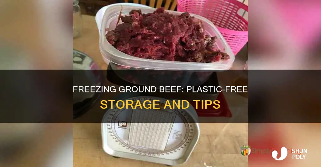 Freezing Ground Beef: Plastic-Free Storage And Tips | ShunPoly