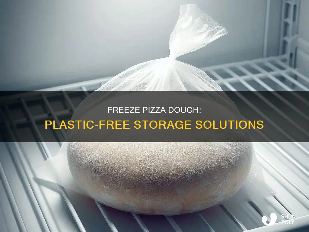 Freeze Pizza Dough: Plastic-Free Storage Solutions | ShunPoly