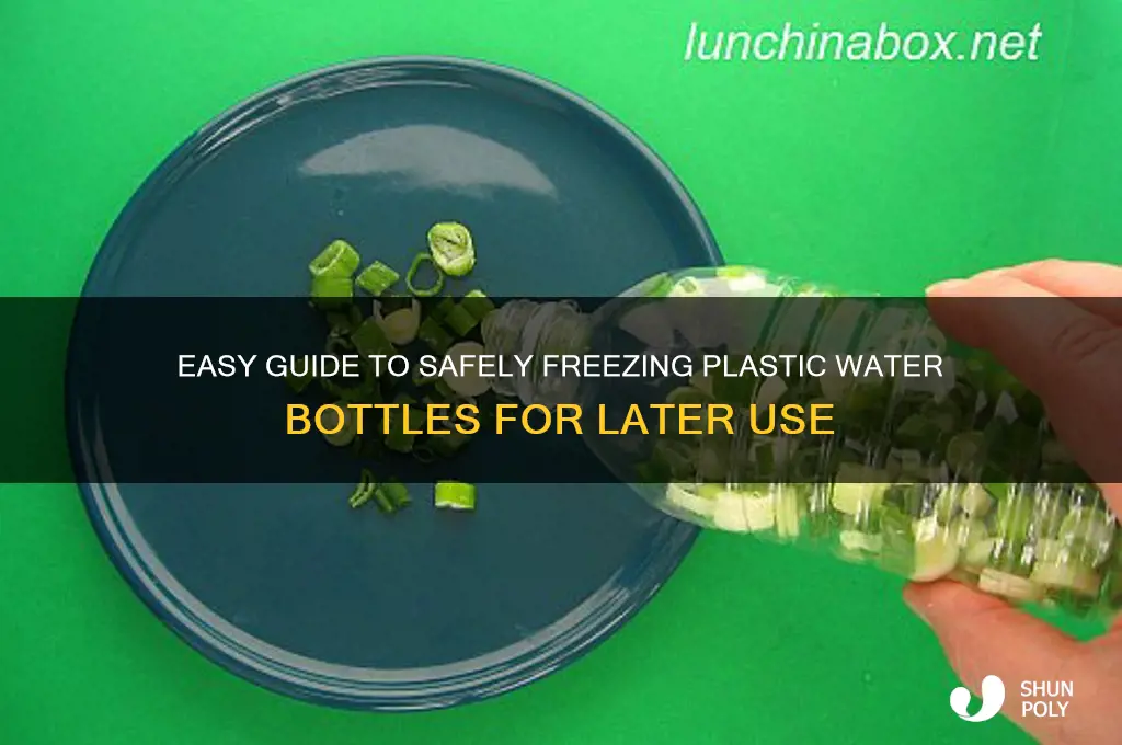 Easy Guide To Safely Freezing Plastic Water Bottles For Later Use ...