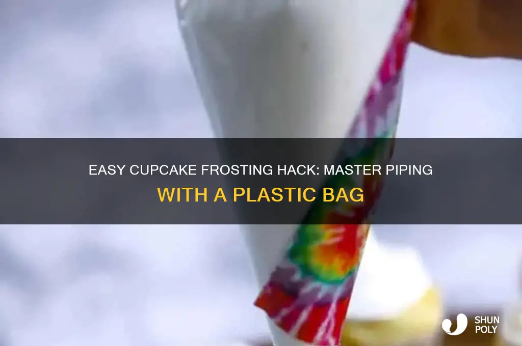 Easy Cupcake Frosting Hack: Master Piping With A Plastic Bag | ShunPoly