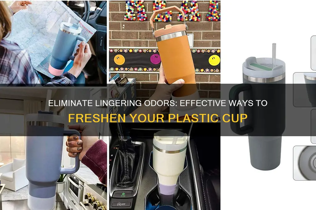 Eliminate Lingering Odors: Effective Ways To Freshen Your Plastic Cup ...