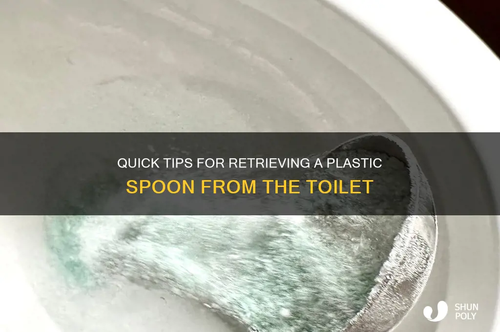 Quick Tips For Retrieving A Plastic Spoon From The Toilet | ShunPoly
