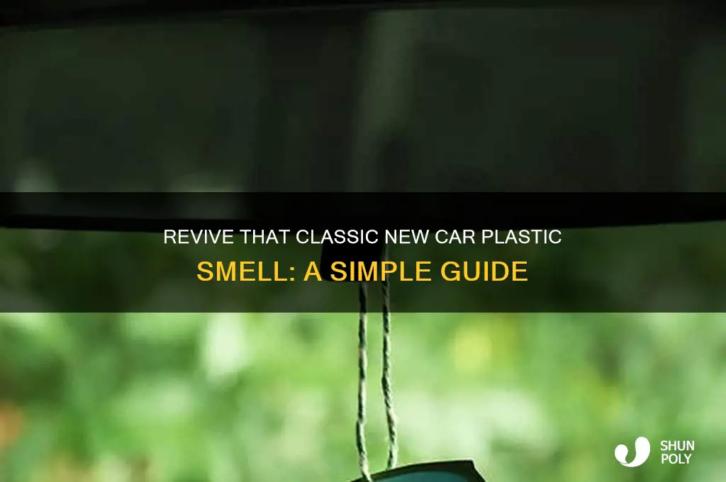 Revive That Classic New Car Plastic Smell: A Simple Guide | ShunPoly