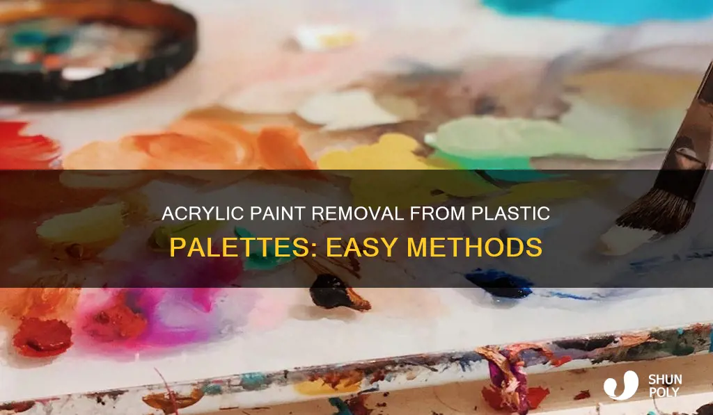 Acrylic Paint Removal From Plastic Palettes: Easy Methods | ShunPoly
