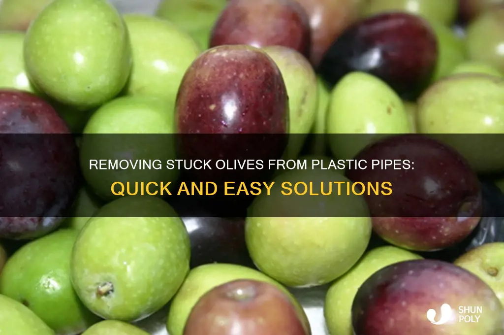 Removing Stuck Olives From Plastic Pipes: Quick And Easy Solutions ...
