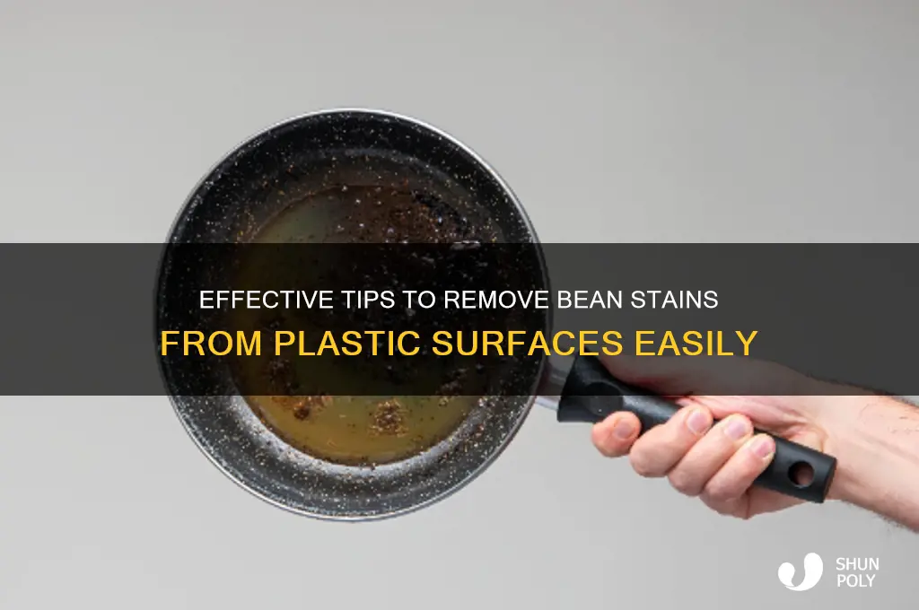 Effective Tips To Remove Bean Stains From Plastic Surfaces Easily ...