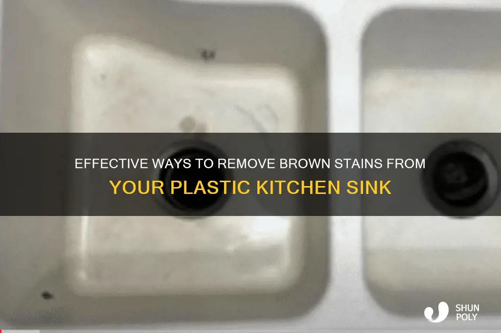 Effective Ways To Remove Brown Stains From Your Plastic Kitchen Sink ...