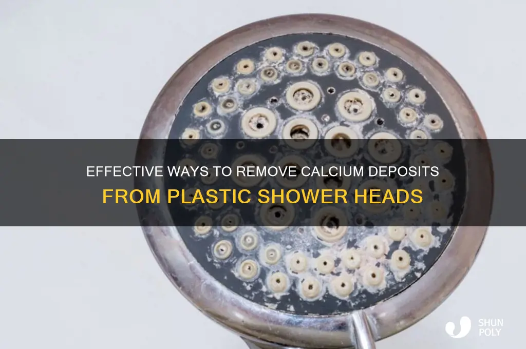 Effective Ways To Remove Calcium Deposits From Plastic Shower Heads ...