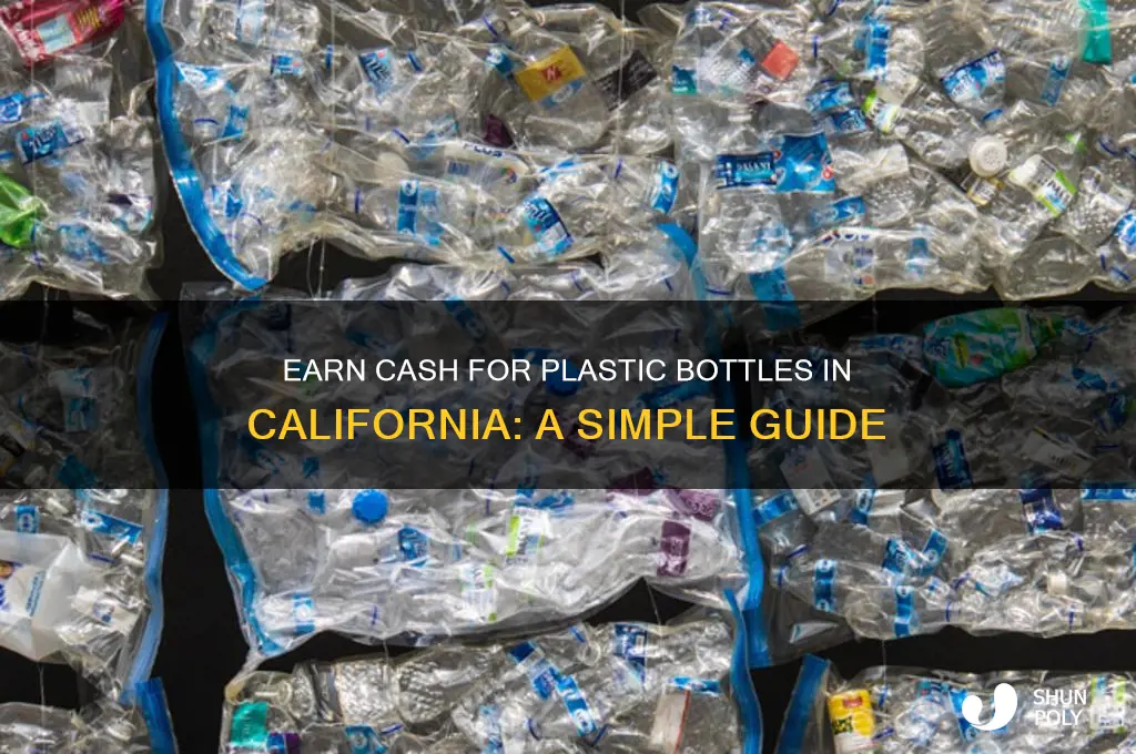 Earn Cash For Plastic Bottles In California: A Simple Guide | ShunPoly