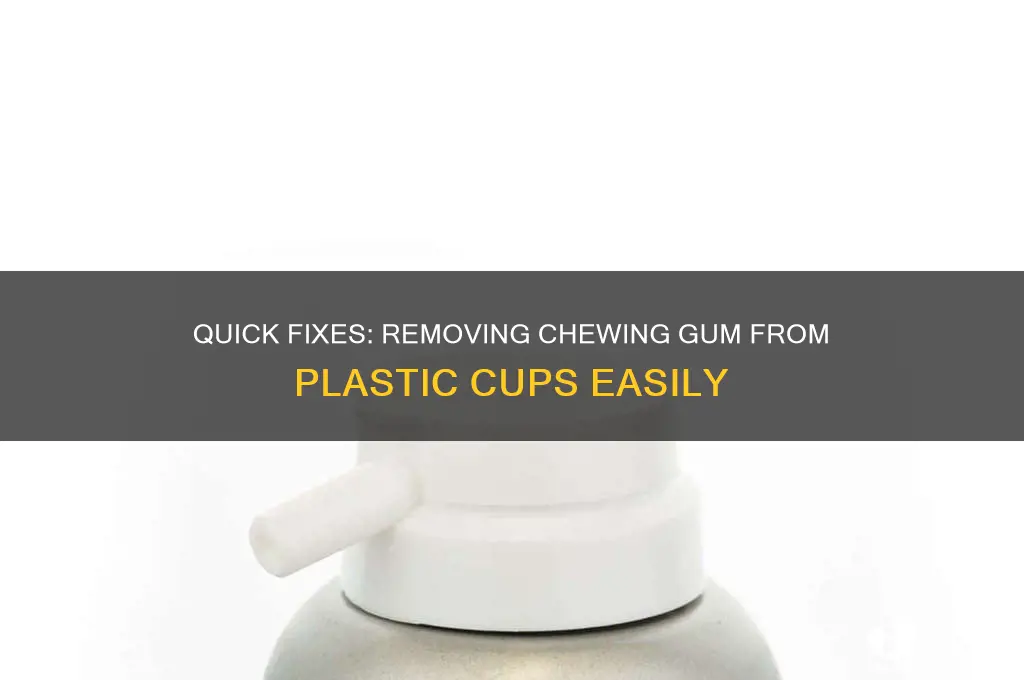 Quick Fixes: Removing Chewing Gum From Plastic Cups Easily | ShunPoly