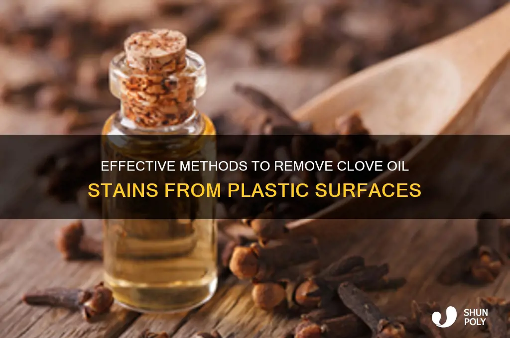 Effective Methods To Remove Clove Oil Stains From Plastic Surfaces ...
