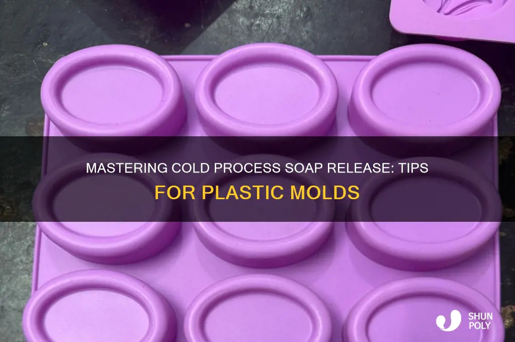 Mastering Cold Process Soap Release: Tips For Plastic Molds | ShunPoly