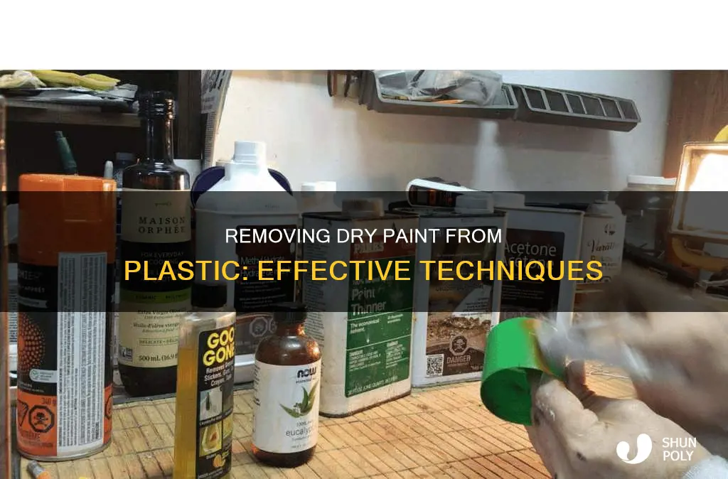 Removing Dry Paint From Plastic: Effective Techniques | ShunPoly