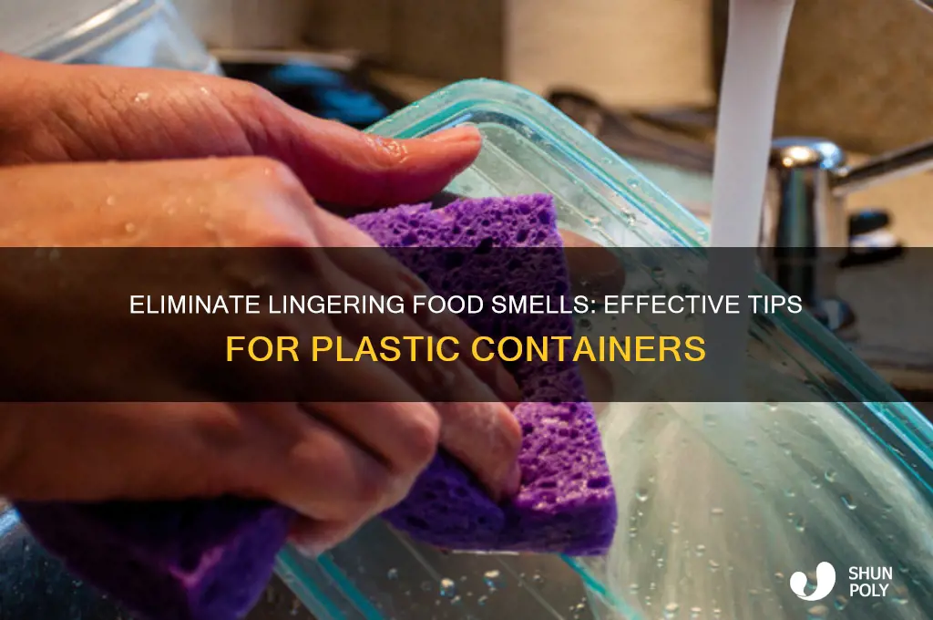 Eliminate Lingering Food Smells: Effective Tips For Plastic Containers ...
