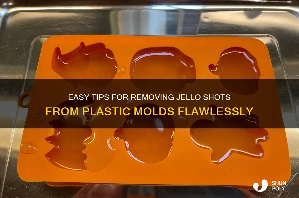 Easy Tips For Removing Jello Shots From Plastic Molds Flawlessly | ShunPoly
