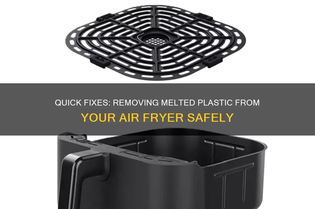 Quick Fixes: Removing Melted Plastic From Your Air Fryer Safely | ShunPoly