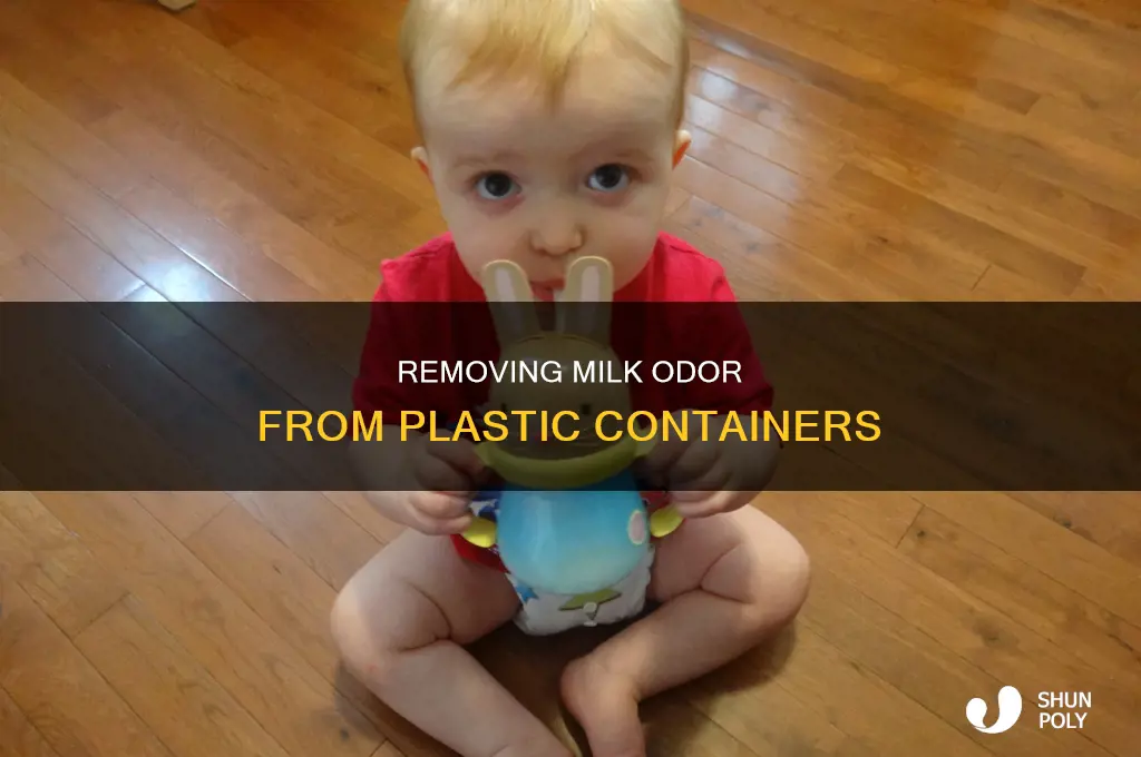 Removing Milk Odor From Plastic Containers | ShunPoly