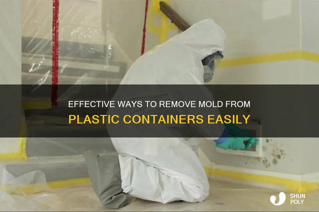 Effective Ways To Remove Mold From Plastic Containers Easily | ShunPoly