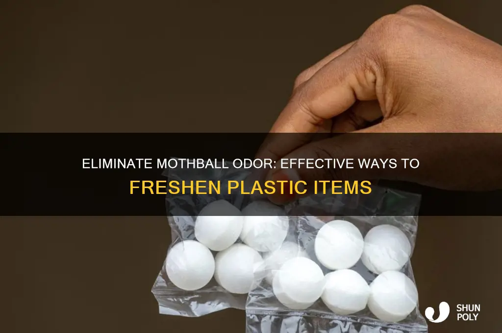 Eliminate Mothball Odor: Effective Ways To Freshen Plastic Items | ShunPoly