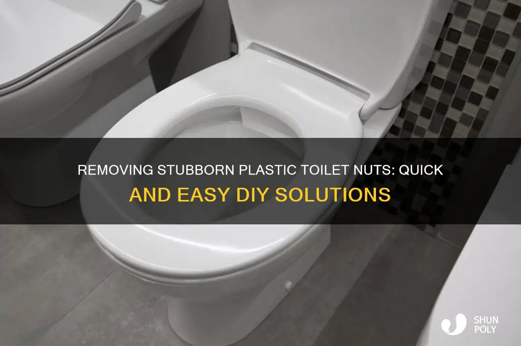 Removing Stubborn Plastic Toilet Nuts: Quick And Easy Diy Solutions ...
