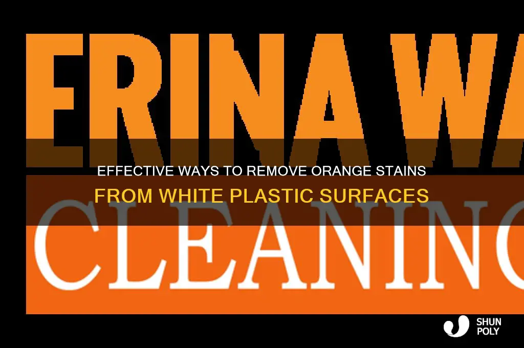 Effective Ways To Remove Orange Stains From White Plastic Surfaces ...