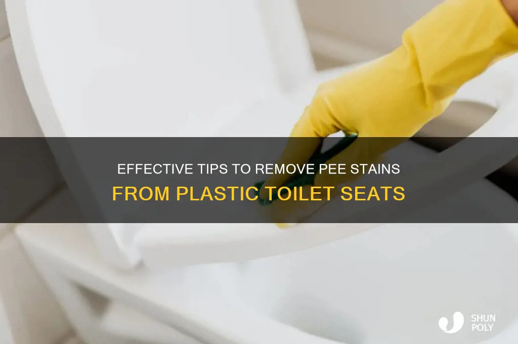 Effective Tips To Remove Pee Stains From Plastic Toilet Seats | ShunPoly