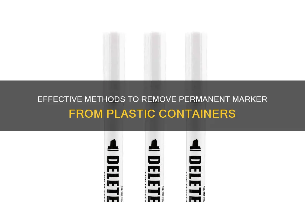 Effective Methods To Remove Permanent Marker From Plastic Containers ...