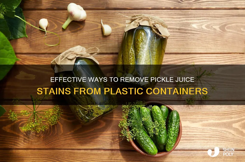 Effective Ways To Remove Pickle Juice Stains From Plastic Containers ...