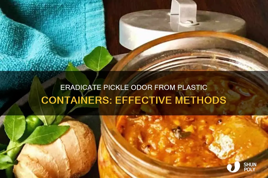 Eradicate Pickle Odor From Plastic Containers: Effective Methods | ShunPoly