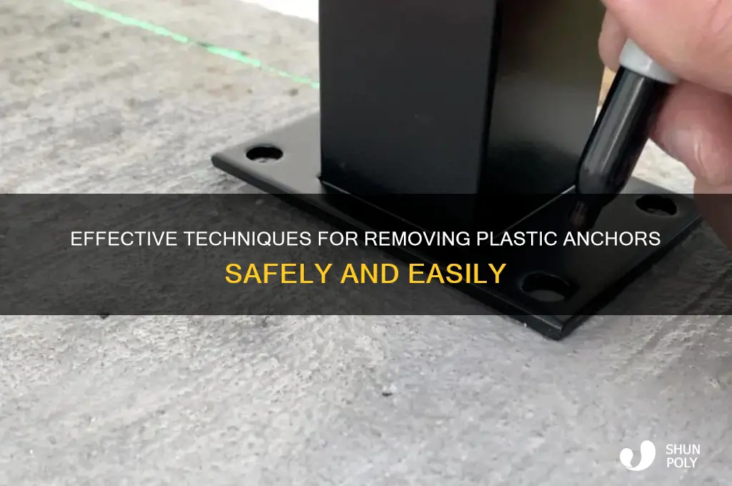 Effective Techniques For Removing Plastic Anchors Safely And Easily ...