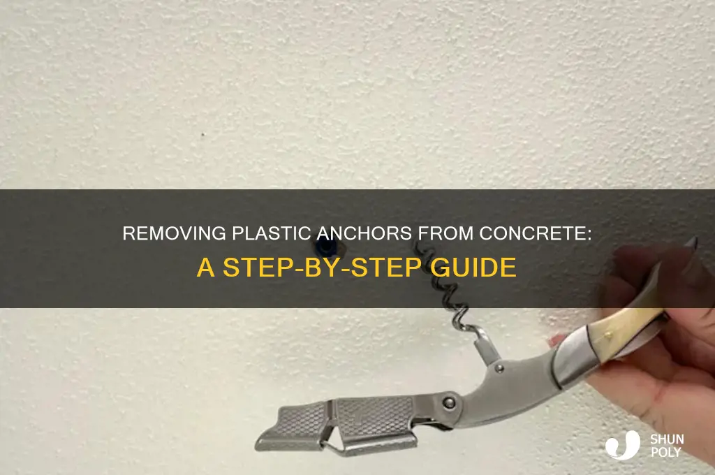 Removing Plastic Anchors From Concrete: A Step-By-Step Guide | ShunPoly